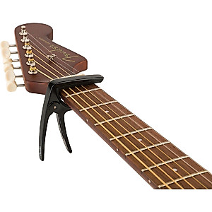 Fender Laurel Capo, Acoustic