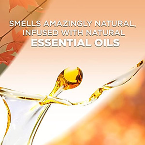 Air Wick Plug in Scented Oil 5 Refills, Fresh Pine and Juniper, Fall Scent, Fall Spray, (5x0.67oz) and Plug in Scented Oil 5 Refills, Bonfire and Crisp Fall Air