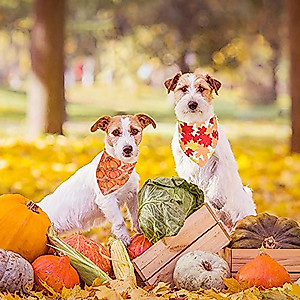 PTDECOR 4 Pack Thanksgiving Dog Bandanas Fall Autumn Dog Puppy Bandana Adjustable Dog Triangle Scarf Turkey Leaf Pumpkin Pattern Dog Thanksgiving Bandanas for Small Medium Dogs Pets