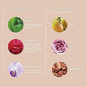 Pureology Strength Cure Blonde Purple Conditioner for Blonde & Lightened Color-Treated Hair, 9 Fl Oz