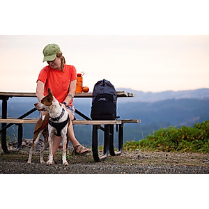 ALPS Mountaineering Tempo 18L Pack