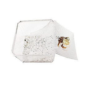 JILINWEI Hermit Crab Water Tank, Hermit Crab Aquarium Salt Water Pool Crab Cage Accessories with Climbing Ramp for Small or Medium Hermit Crab Habitat