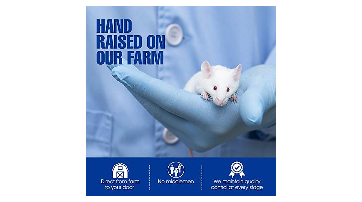 MiceDirect Frozen Small Fuzzie Mice for Snakes - 20 Pack