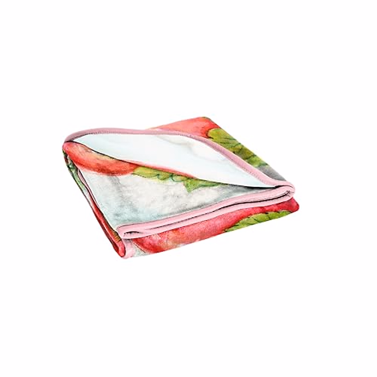 Strawberry Shortcake Berry Playhouse Plush Travel Throw Blanket - Measures 40 x 50 Inches - Kids Super Soft Lightweight Bedding