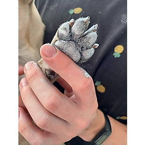 CHERRY CHEERS DIY Couples Canvas Handprint kit, Lovers Customized Special Moments Handmade Gift, Anniversary, Valentine Day Keepsake Gifts Non-Toxic Paints (Black)