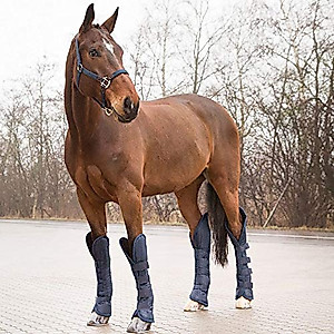 Horze Shipping Boots - Peacoat Dark Blue - Horse