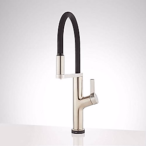 Signature Hardware 949181 Fanning Filtration Kitchen Faucet