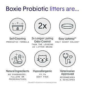 Boxie® Pro™ 40 Day Probiotic Odor Control Non-Clumping Crystal Cat Litter, 6 lb, Self-Cleaning, MicroDry™ Crystals, 99.9% Dust-Free, Long-Lasting, Health Benefits for Multi-Cat Homes
