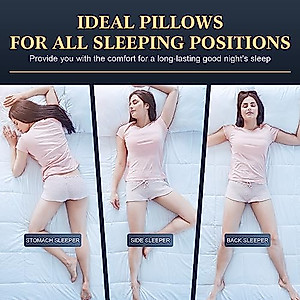 LAVANCE Pillows Queen Size Set of 2 Hotel Collection Pillows 3D Down Alternative Fiber Filling Bed Pillows for Back, Stomach or Side Sleepers-1.2" White Striped, 20"x28"