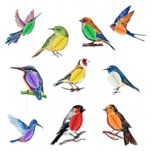 Perkoop 10 Pieces Birds Honeycomb Paper Cutouts Hawaiian Summer Rainforest Bird Party Decorations Hanging Luau Party Supplies Animal Tiki Jungle Theme Decorations for Safari Birthday