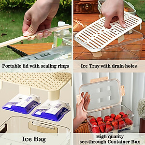 Ice Chilled Snackle Box Container with Ice Pack Portable Cooler Box with Lids & Handle for Camping Picnic Airtight Fruit Storage Containers for Fridge Berry Fresh Keeper for Meal Veggie Snack,Coffee