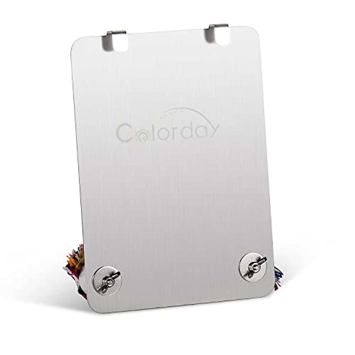 Colorday 9 inch Stainless Steel Bird Mirror with Rope Perch, Bird Toys Swing (Large)