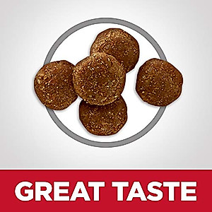 Hill's Science Diet Senior Adult 7+ Dry Cat Food, Perfect Digestion, Chicken Recipe, 3.5 lb. Bag