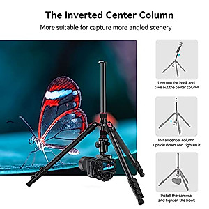 SmallRig 68" Camera Tripod, Foldable Aluminum Tripod & Monopod, Compatible with 1/4"-20 and 3/8"-16 Video Head, Payload 33lb, Adjustable Height from 19.7" to 67.7" for Camera, Phone - 3983