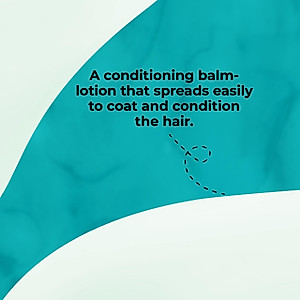 TEMPLESPA | IN GOOD CONDITION | Luxury Hair Conditioner, Lightweight Feel for Soft and Glossy Hair. Free from Parabens, Phthalates and Sulphates, Natural Ingredients, Cruelty-Free, Vegan 5.0 fl.oz.