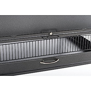 Prevue Pet Products 3352COCO Park Plaza Bird Cage, Coco Brown,Large