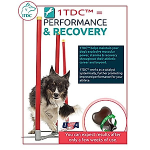 WorksSoWell 1TDC Dual Action Natural Support – 60 Twist Off Soft Gels | Delivers 4 Health Benefits for Dogs & Cats | Supports Oral, Hip & Joint Health, Muscle & Stamina Recovery, Skin & Coat Health