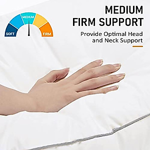 downluxe Premium Down Feather Pillow Luxury Hotel Collection - Bed Pillow for Sleeping with Silver Piped Edges, King Size (20"×36", Pack of 2)