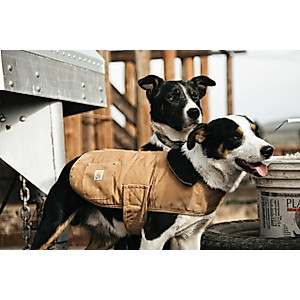 Carhartt Firm Duck Insulated Dog Chore Coat Brown/Brass, Small