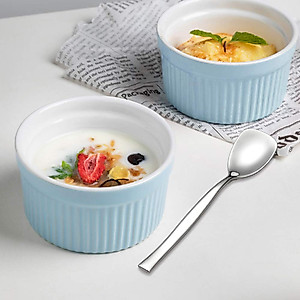 Qskely 12-Piece Stainless Steel Ice Cream Spoons, Yogurt Spoon