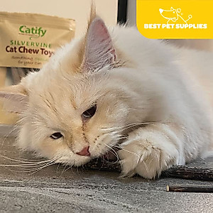 Natural Silvervine Cat Chew Toy | Interactive Silver Vine Chewing Toys with Catnip Like Effect - Valued Sticks, 2 Pack of 20
