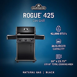 Napoleon Propane Gas Grill