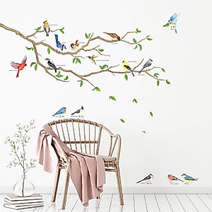 DECOWALL DWL-2015 Garden Birds Wall Stickers Wall Decals Peel and Stick Removable Wall Stickers for Kids Nursery Bedroom Living Room