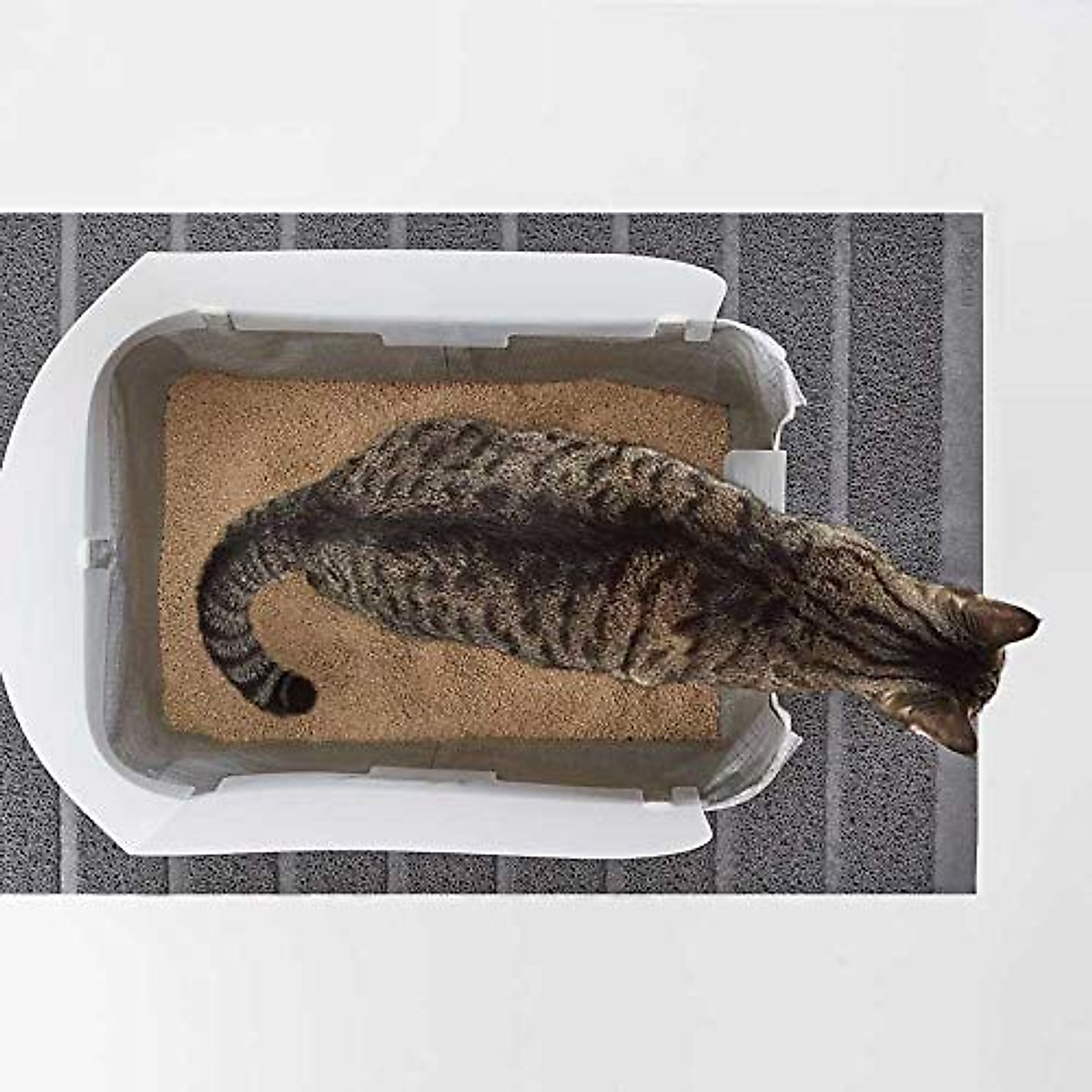 Modkat Litter Tray, Includes Scoop and Reusable Liner - White…
