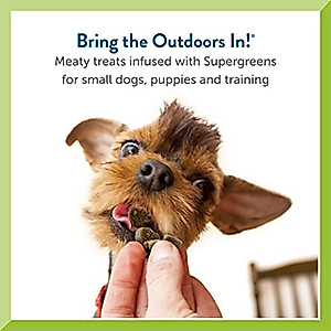 Pet Greens Treats Roasted Chicken Semi-Moist Dog Treat Orange 6 Ounce (Pack of 1)