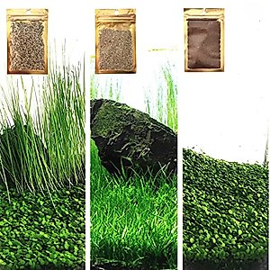 3 Fresh Water Live Plant Seeeds for Aquarium and Fish Tank, 3 Different Aquatic Plant Decor Water Grass Dwarf Mini Tiny Leaves Hair Grass Seeed (0.36ozTiny+0.36oz Long+0.36oz Short) qwe