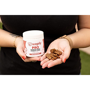 Wagsly PRO – Daily Probiotic for Dogs Digestive Health - Bacillus Coagulans, Digestive Enzymes, Immune Support, Diarrhea & Bowel Relief, Natural Duck Flavor - 90 Count - Dog Gut Health Supplement