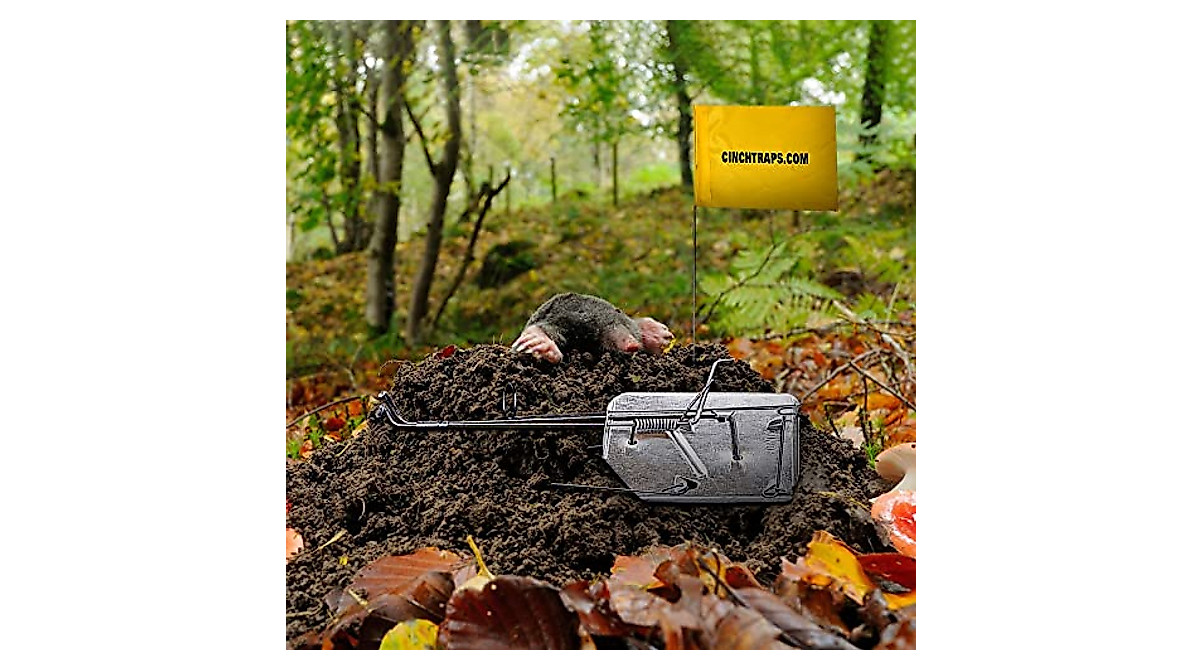 Cinch Mole Trap Deluxe Kit - Heavy Duty & Reusable