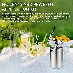 MRbrew 2 Pair Ball Lock Keg Post, Stainless 304 Homebrew 19/32’’-18 Co2 Gas kegerator Beer Liquid Cornelius Corny Poppet Spring Spare Sealing O-ring Keg Posts Kit for Brewing Quick Disconnect Fitting