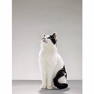 I LOVE MY PETS LLC cat Vitamins and Supplements Fur - Ultra Vitamins - CAT Health - Mineral Boost - cat Coat Supplement - 180 Treats (2 Bottles)