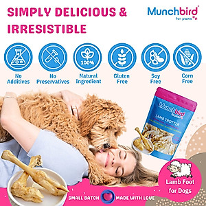 Lamb Trotter Dehydrated Dog Treats Glucosamine Lamb Treats for Dogs Chondroitin Hips and Joints Lean Hypoallergenic Protein Rawhide Free Safe Bones Alternative to Duck Feet Lamb Ears (12 to 16 Pieces)
