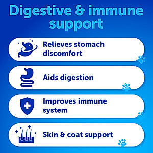 Probiotics for Dogs - Support Gut Health, Itchy Skin, Allergies, Immunity, Yeast Balance - Dog Probiotics and Digestive Enzymes with Prebiotics - Reduce Diarrhea, Gas - 180 Probiotic Chews for Dogs