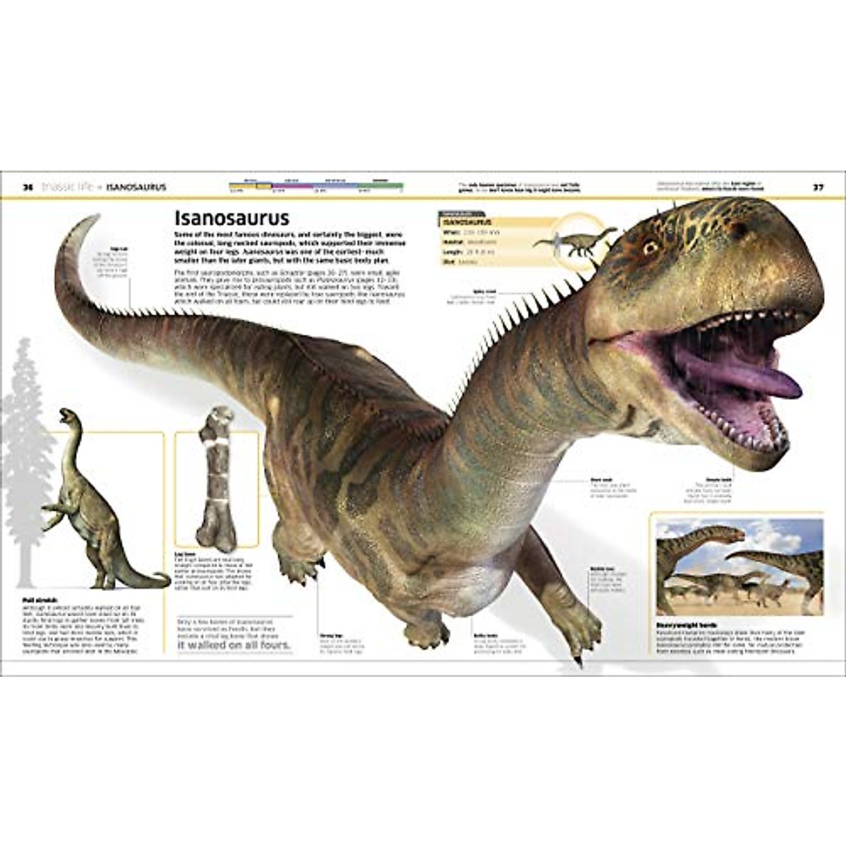 Knowledge Encyclopedia Dinosaur!: Over 60 Prehistoric Creatures as You've Never Seen Them Before (DK Knowledge Encyclopedias)