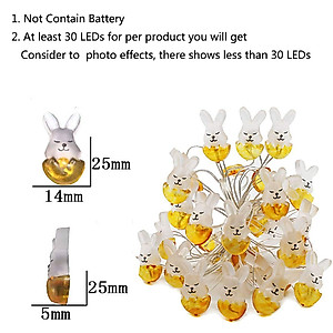 EONLYX Easter Decoration Lights, 10ft 30 LEDs Rabbit Bunny Easter Copper Wire Lights String Battery-Operated Fairy Lights for Bedroom,Wedding