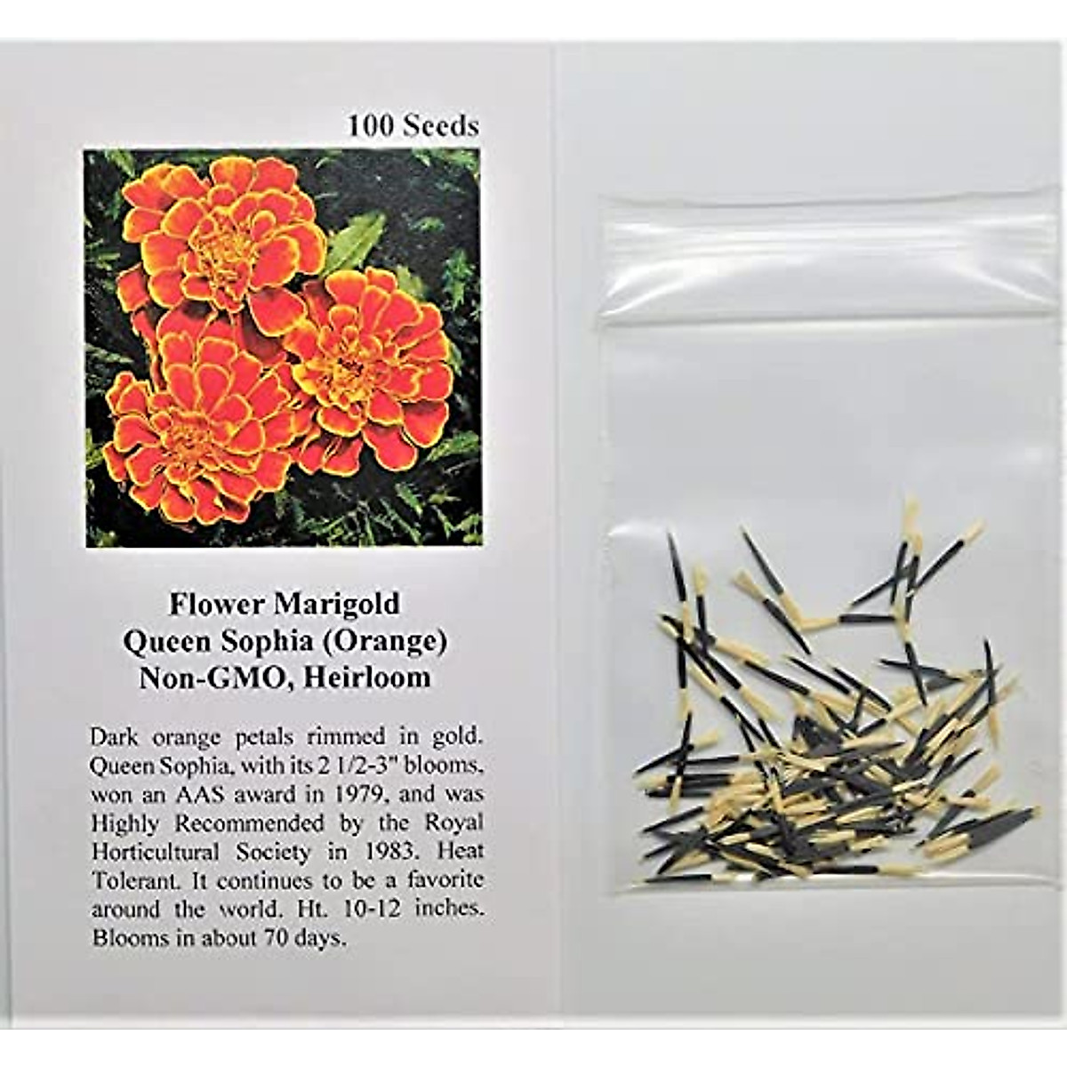 David's Garden Seeds Flower Marigold Queen Sophia 1278 (Orange) 100 Non-GMO, Heirloom Seeds