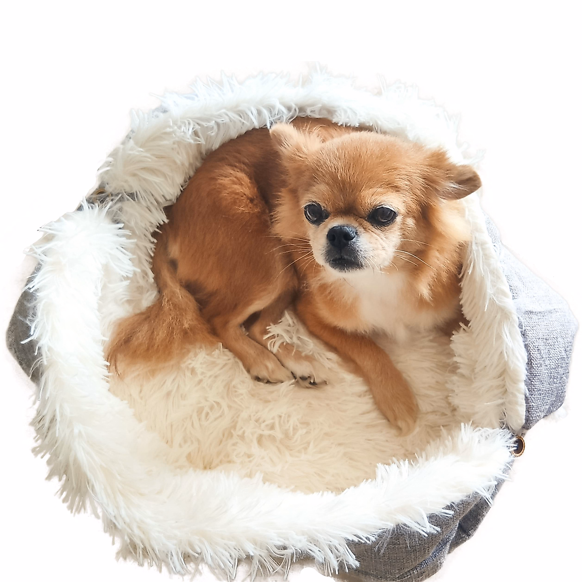 Pet Blanket for Dogs and Cats, Washable Cat Bed for Indoor Cats and Dogs, Calming Bed for Small Dogs and Cats 2 in 1 Soft Plush Fluffy Blanket 20'' X 24'' Square Pet Cushion