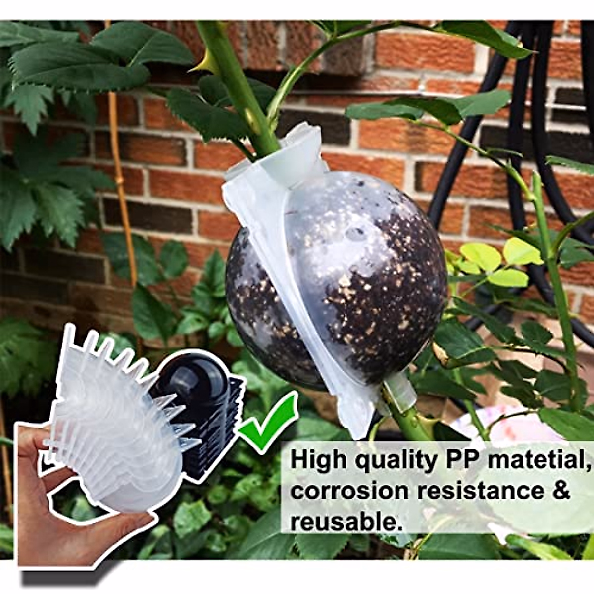MIIIM 10 PCS Air Layering Propagation Kit with Zip Ties, Reusable Half Transparent Grafting Ball, Air Layering Pods Clear, Plant Rooting Grafting Box for Fast Propagation Plants (Medium)