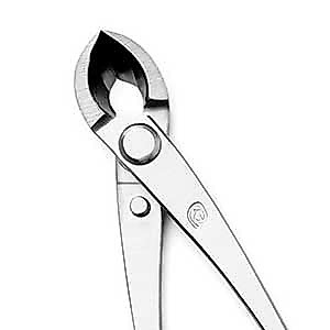 tianbonsai 165 Mm Branch Cutter Straight Edge Bonsai Branches Cutter Bonsai Tools