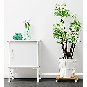 Cedilis 3 Pack Plant Caddy, Bamboo Plant Stand with Rolling Wheels, Mobile Flower Pot Mover Roller, Heavy Duty Plant Pot Pallet Dolly Caster for Patio Outdoor, Holds up to 100 Lbs, 12 Inch Square