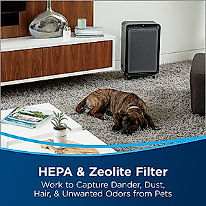 BISSELL air220 Air Purifier Replacement Pet Pro Filter Pack, 3289