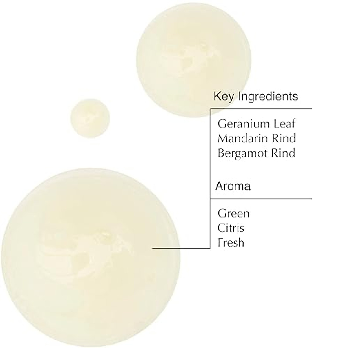 Aesop Geranium Leaf Body Cleanser - Invigorating Cleansing Gel - Alternative to Conventional Soap - 16.9 oz