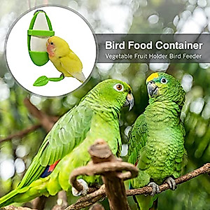 Bird Cuddle Bone Holder,Cuddle Bone Holder for Bird Cage | Cuttlebone Holder Bird Feeding Fruit Bird Cage Accessories Parrot Standing