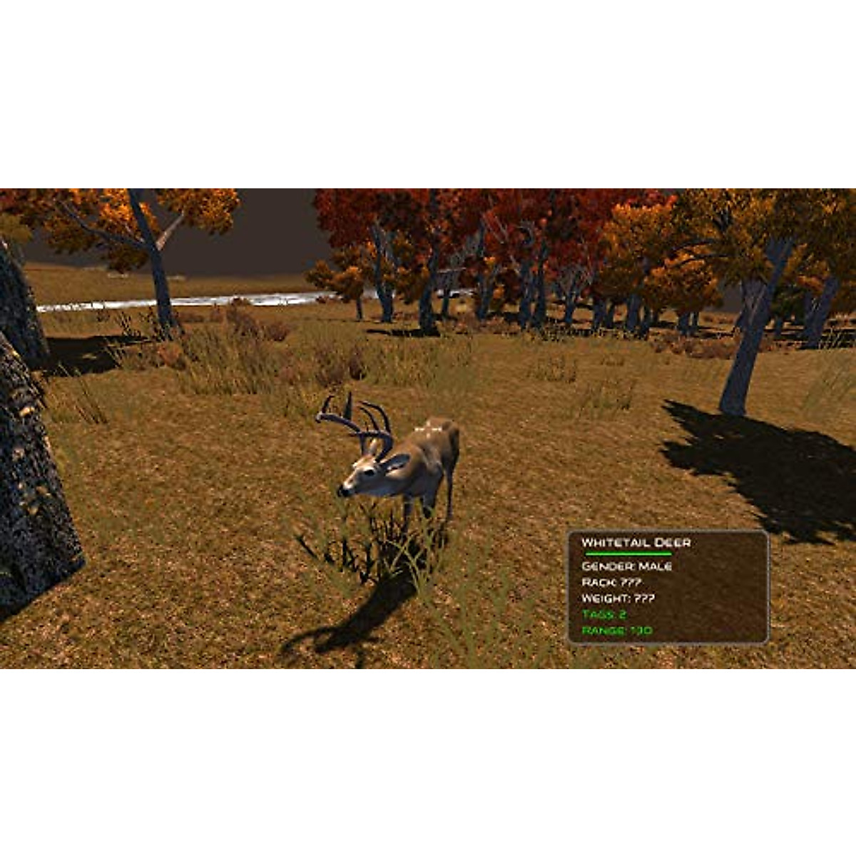 Cabela's: The Hunt Championship Edition - Nintendo Switch