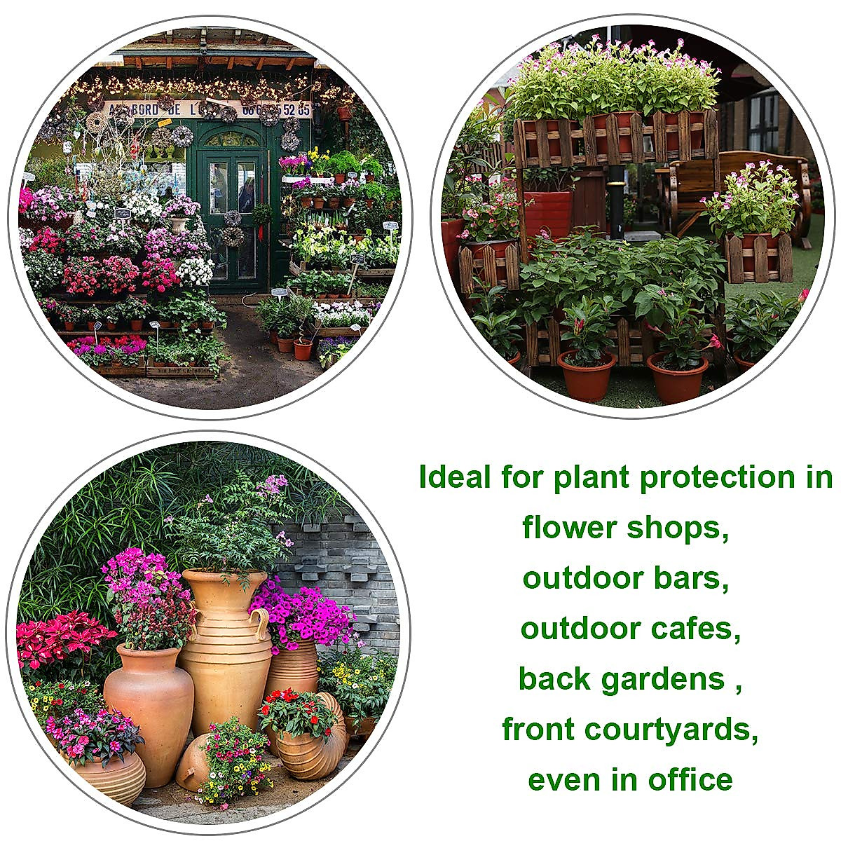 Blue_Stone Plant Covers Frost Protection Bag Winter Reusable Plants Jacket with 3 Style 3 Pack 23" x 31" 2 Pack 39" x 39" 1 Pack 70" x 63" (2 Pcs 39" x 39")