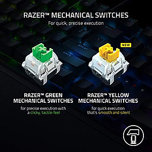 Razer BlackWidow V3 Mechanical Gaming Keyboard: Green Mechanical Switches - Tactile & Clicky - Chroma RGB Lighting - Compact Form Factor - Programmable Macro Functionality - Classic Black