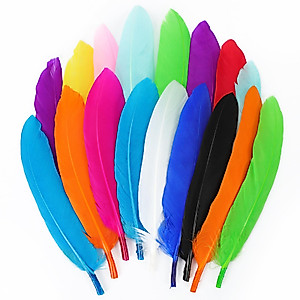 Coceca 240pcs Colorful Goose Feathers 4-6 Inches Natural Feathers for DIY Crafts
